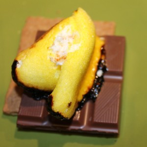 Peeps S’mores Recipe | I Can Cook That